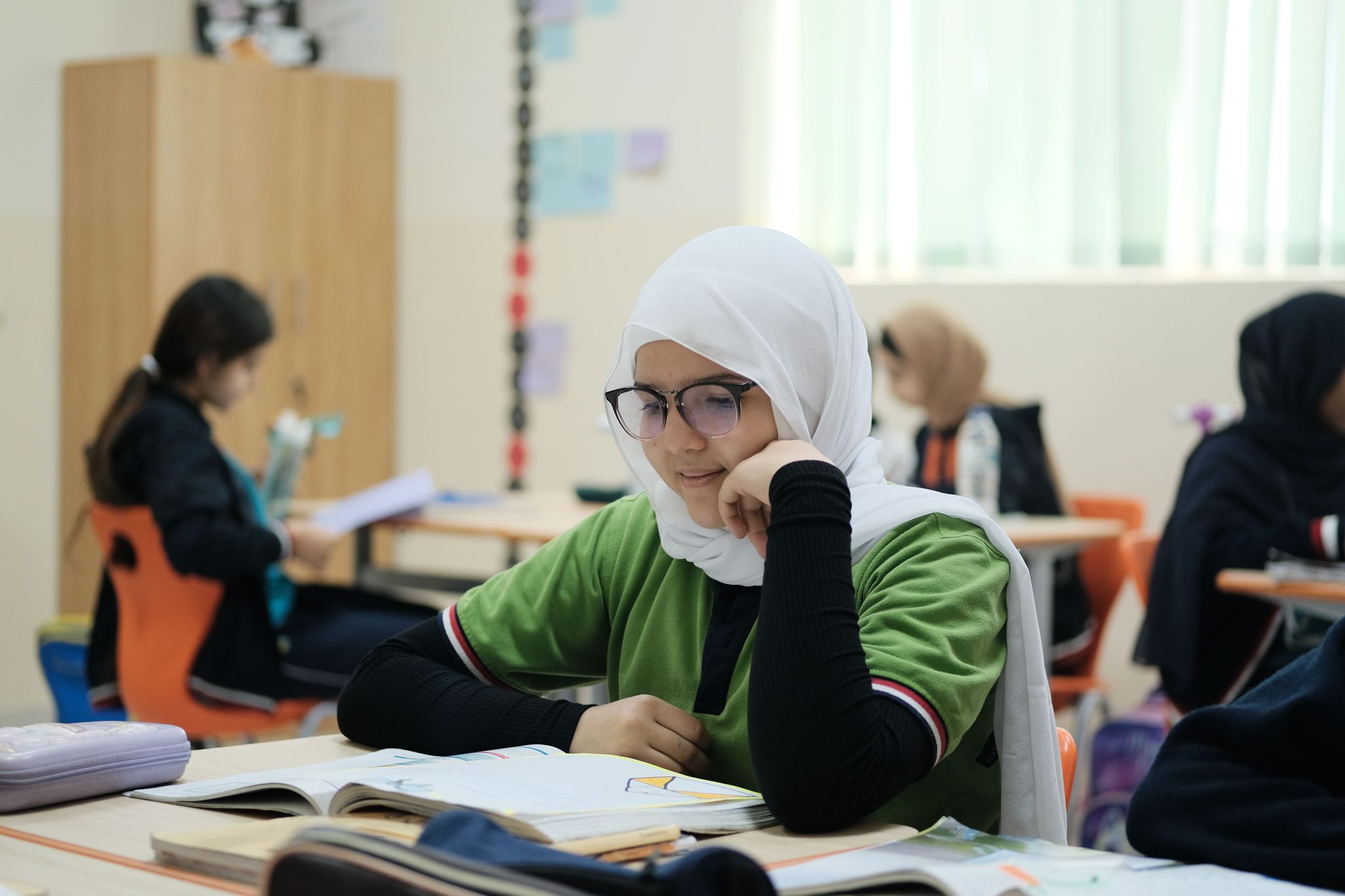 Overview – Woodlem British School